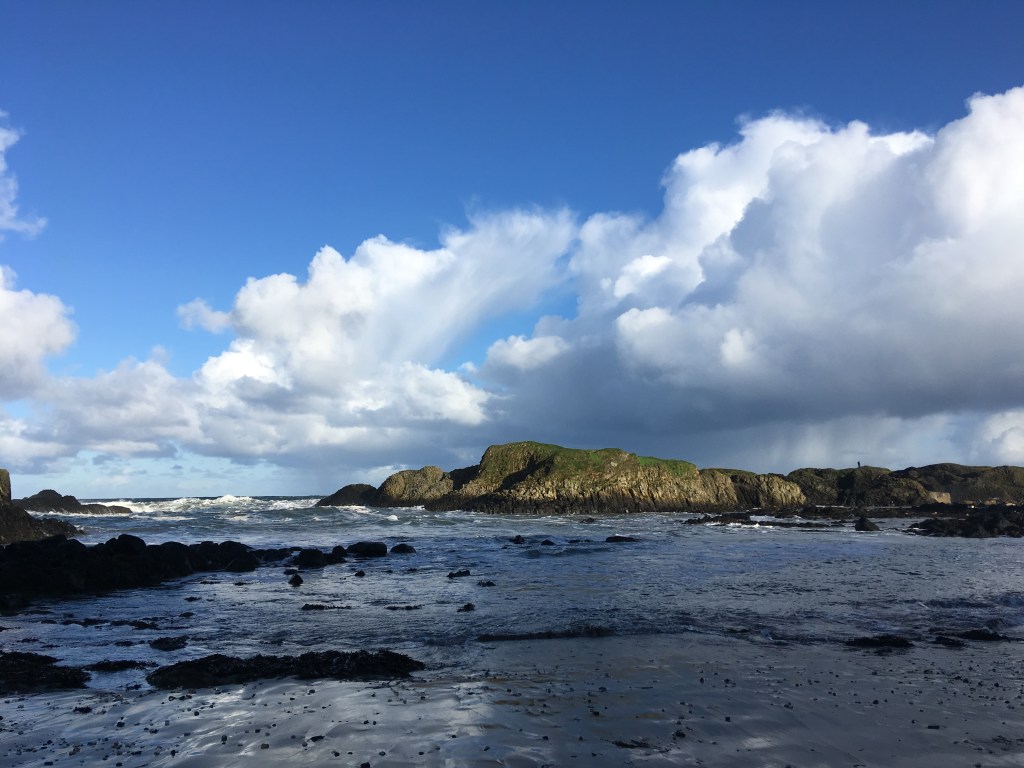 Geological Museum – Trinity College Dublin