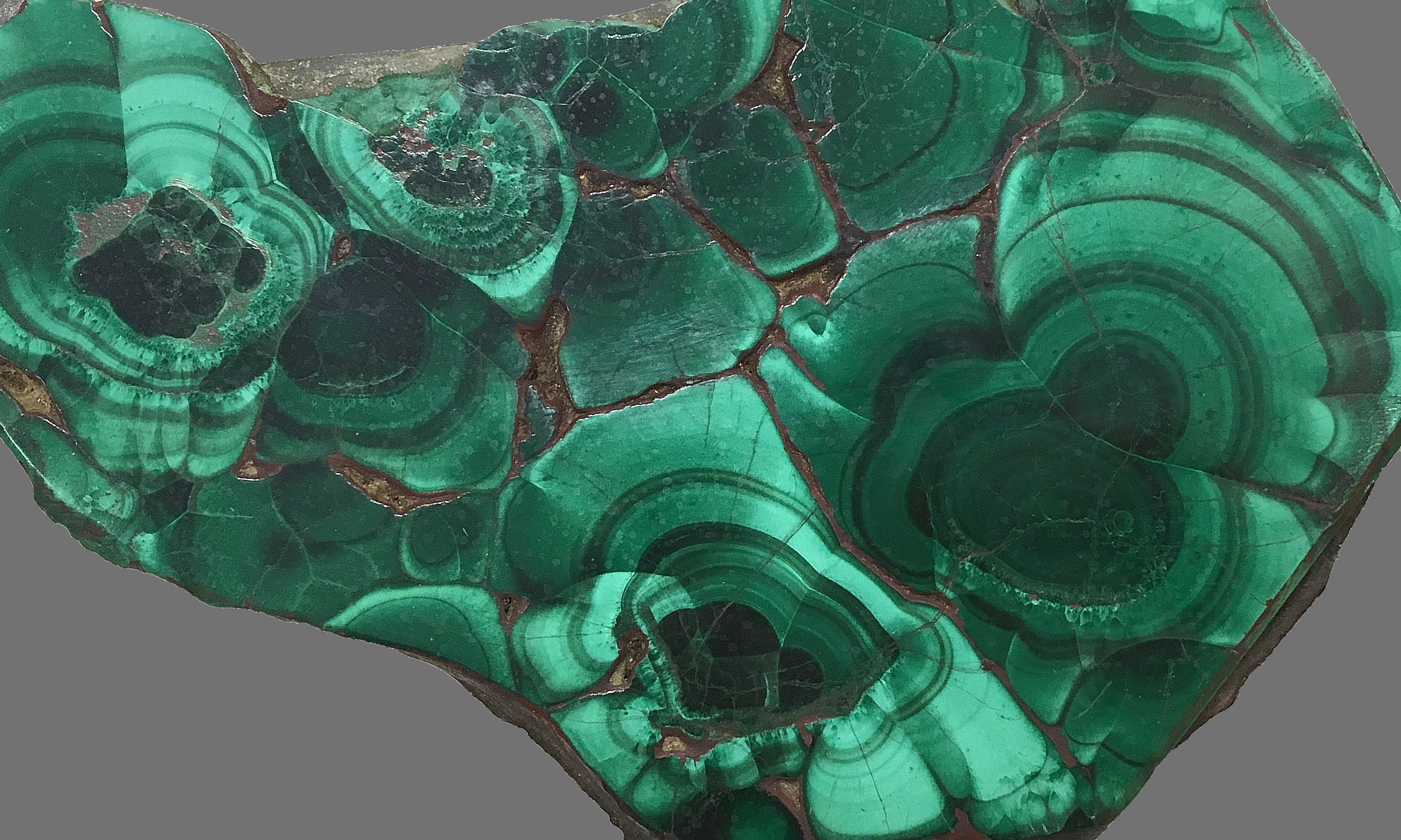 Geological Museum – Trinity College Dublin