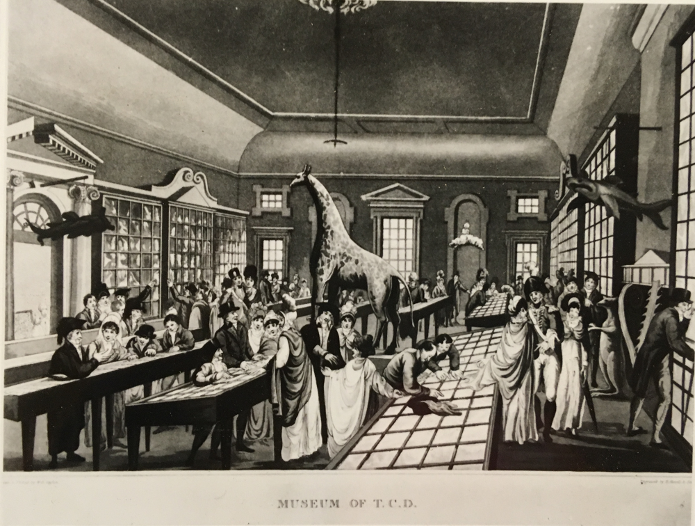 History – Geological Museum – Trinity College Dublin