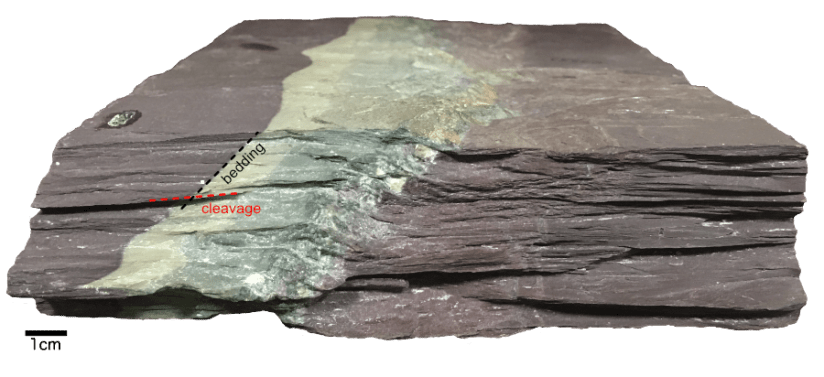 Metamorphic Rocks – Geological Museum – Trinity College Dublin