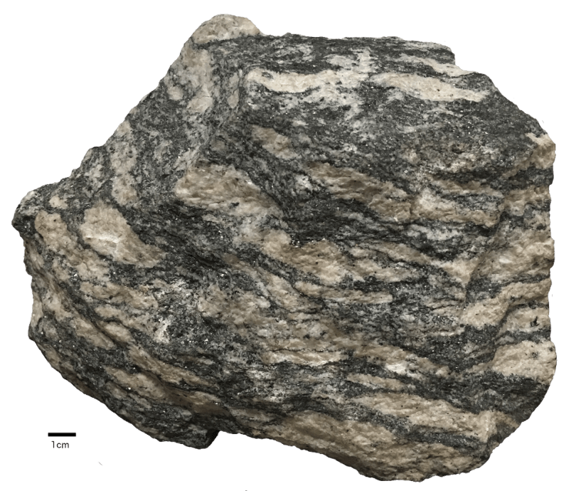 Metamorphic Rocks – Geological Museum – Trinity College Dublin