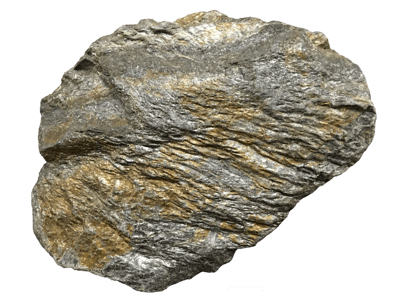 Metamorphic Rocks – Geological Museum – Trinity College Dublin