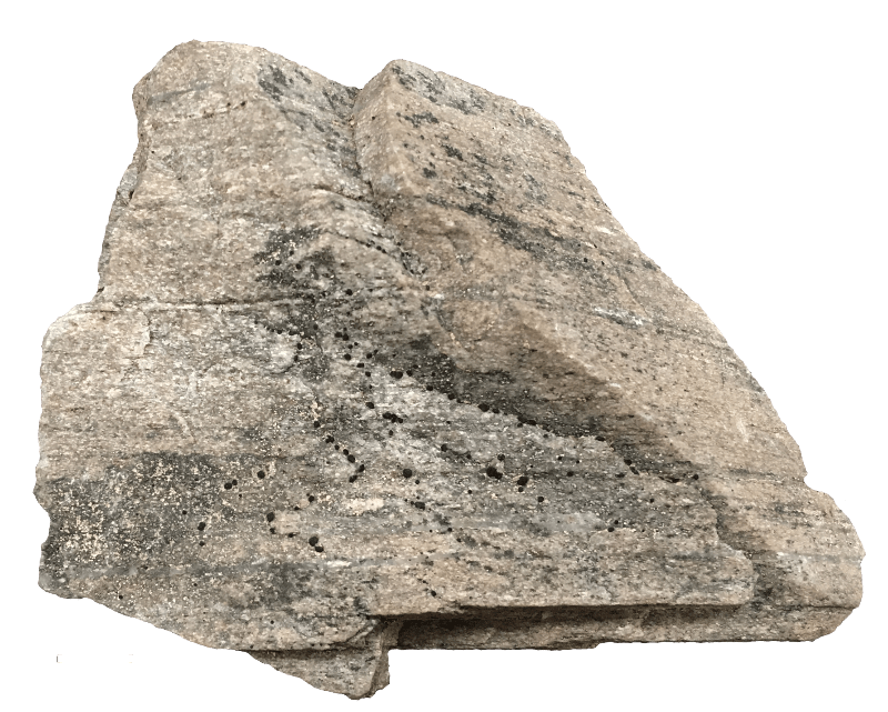 Metamorphic Rocks – Geological Museum – Trinity College Dublin