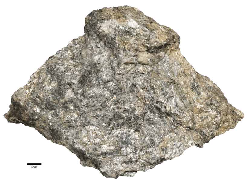 Metamorphic Rocks – Geological Museum – Trinity College Dublin