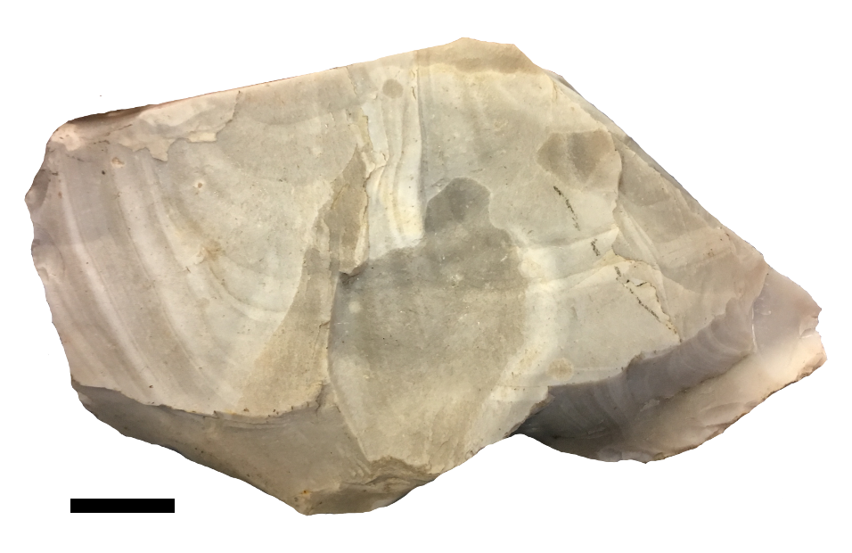 Sedimentary Rocks – Geological Museum – Trinity College Dublin