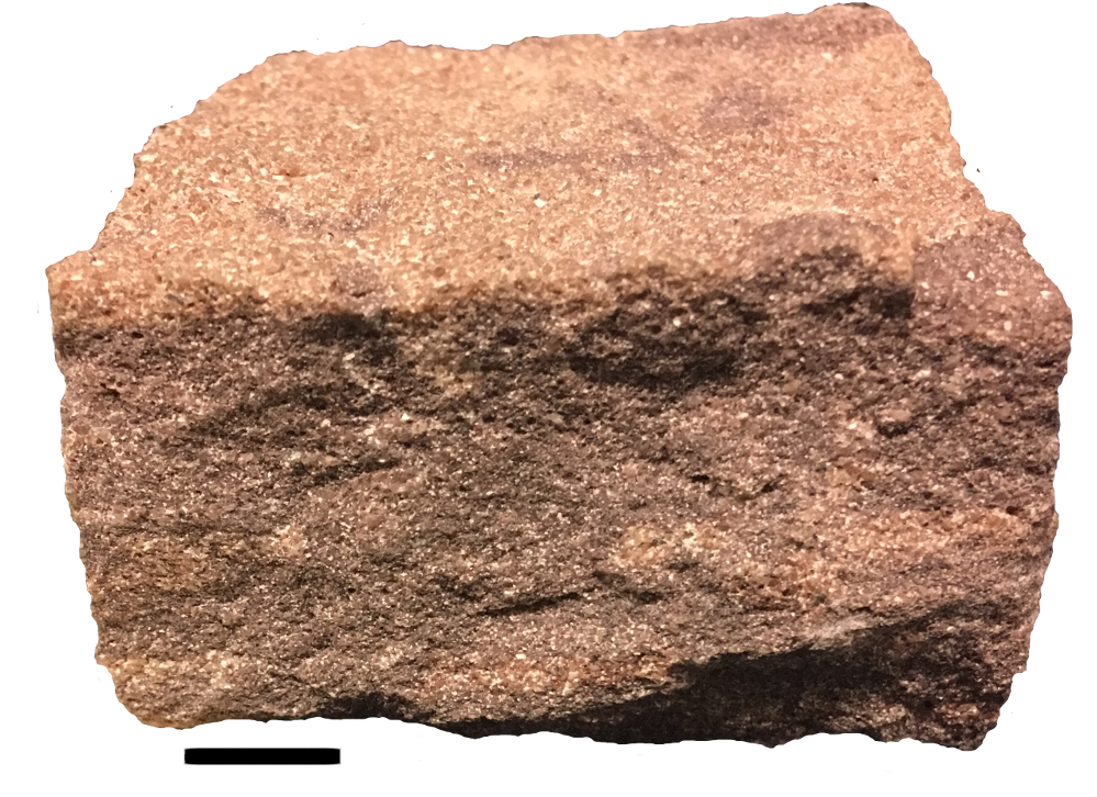 Sedimentary Rocks Sandstone