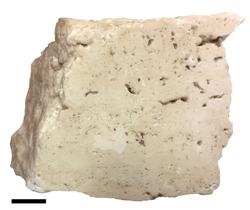 Sedimentary Rocks – Geological Museum – Trinity College Dublin