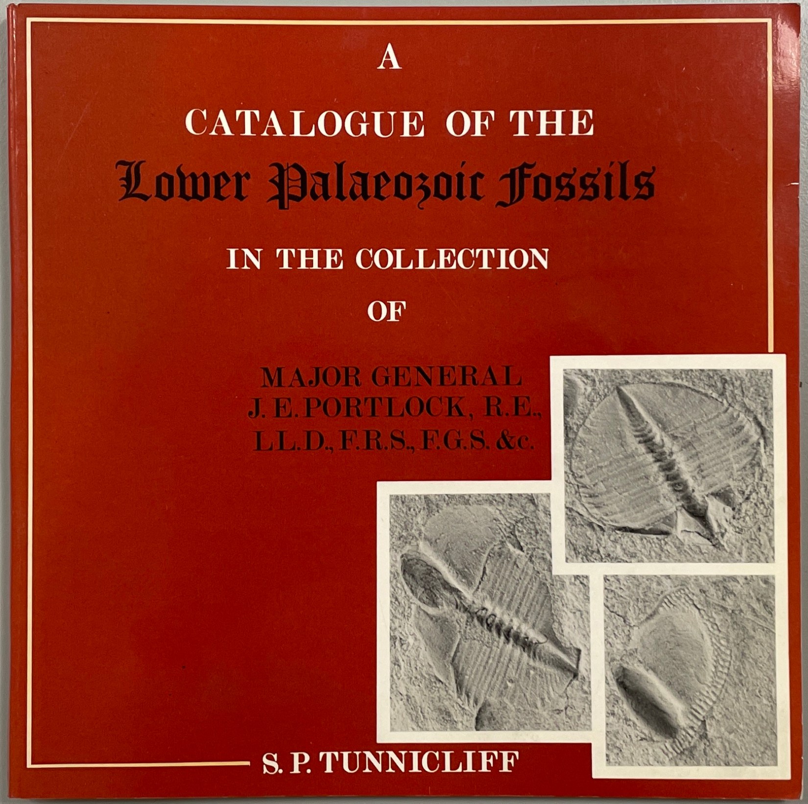 Portlock Collection – Geological Museum – Trinity College Dublin