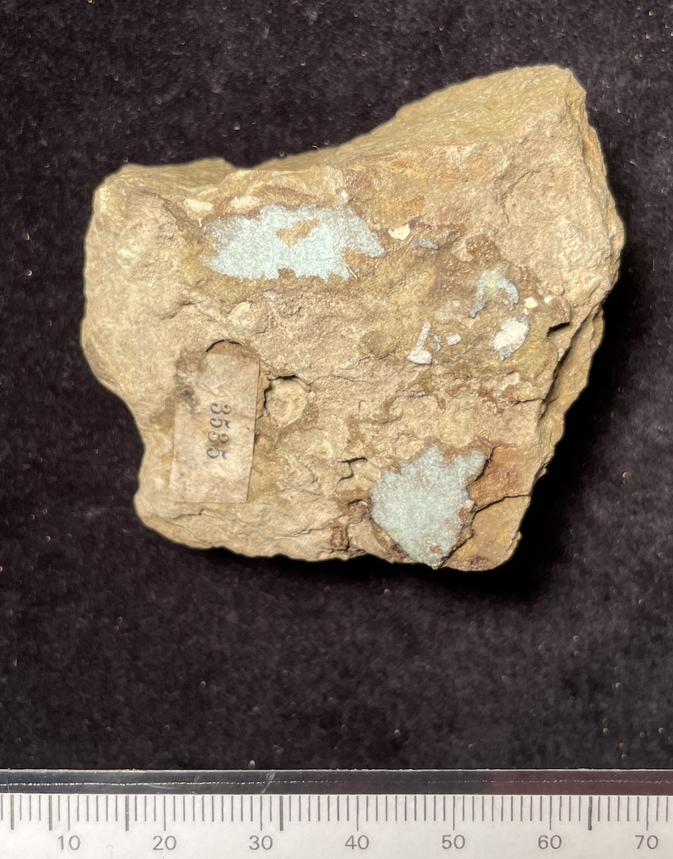 Holland Collection – Geological Museum – Trinity College Dublin