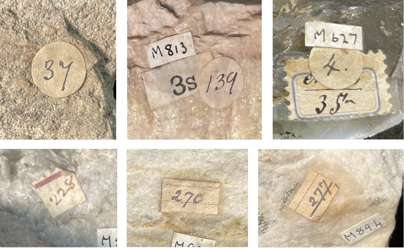 Label Styles – Geological Museum – Trinity College Dublin