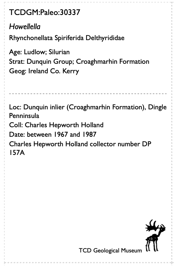 Holland Collection – Geological Museum – Trinity College Dublin