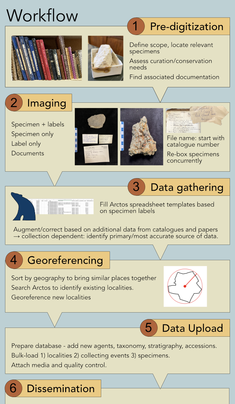 Workflow – Geological Museum – Trinity College Dublin