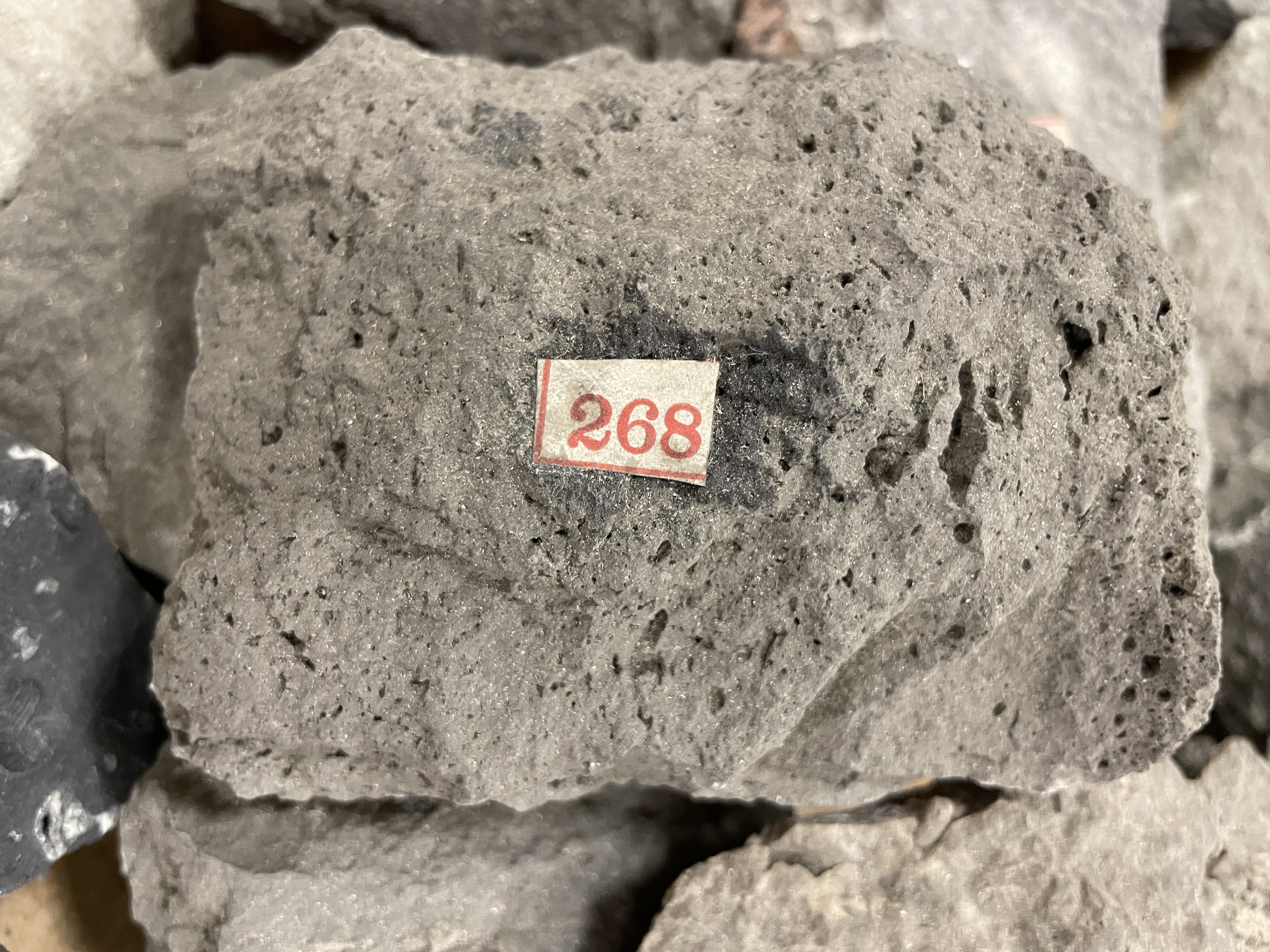 Rock Catalogues – Geological Museum – Trinity College Dublin